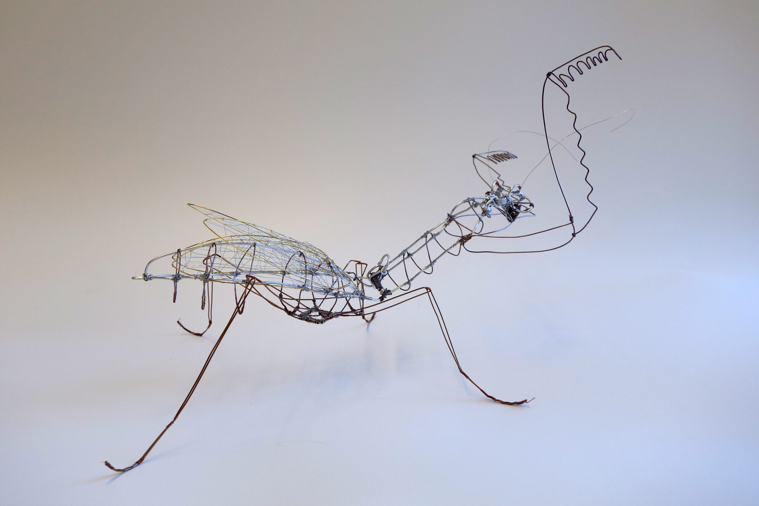 Sponsor Us – NATURE